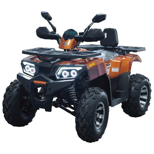 GIO Blazer 200HS Premium – ATVEdmonton